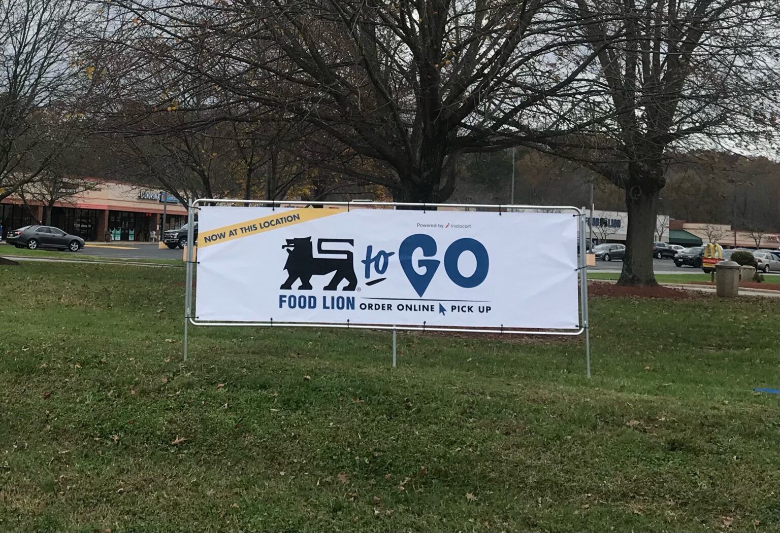 Custom Banner Design - Cove Signs